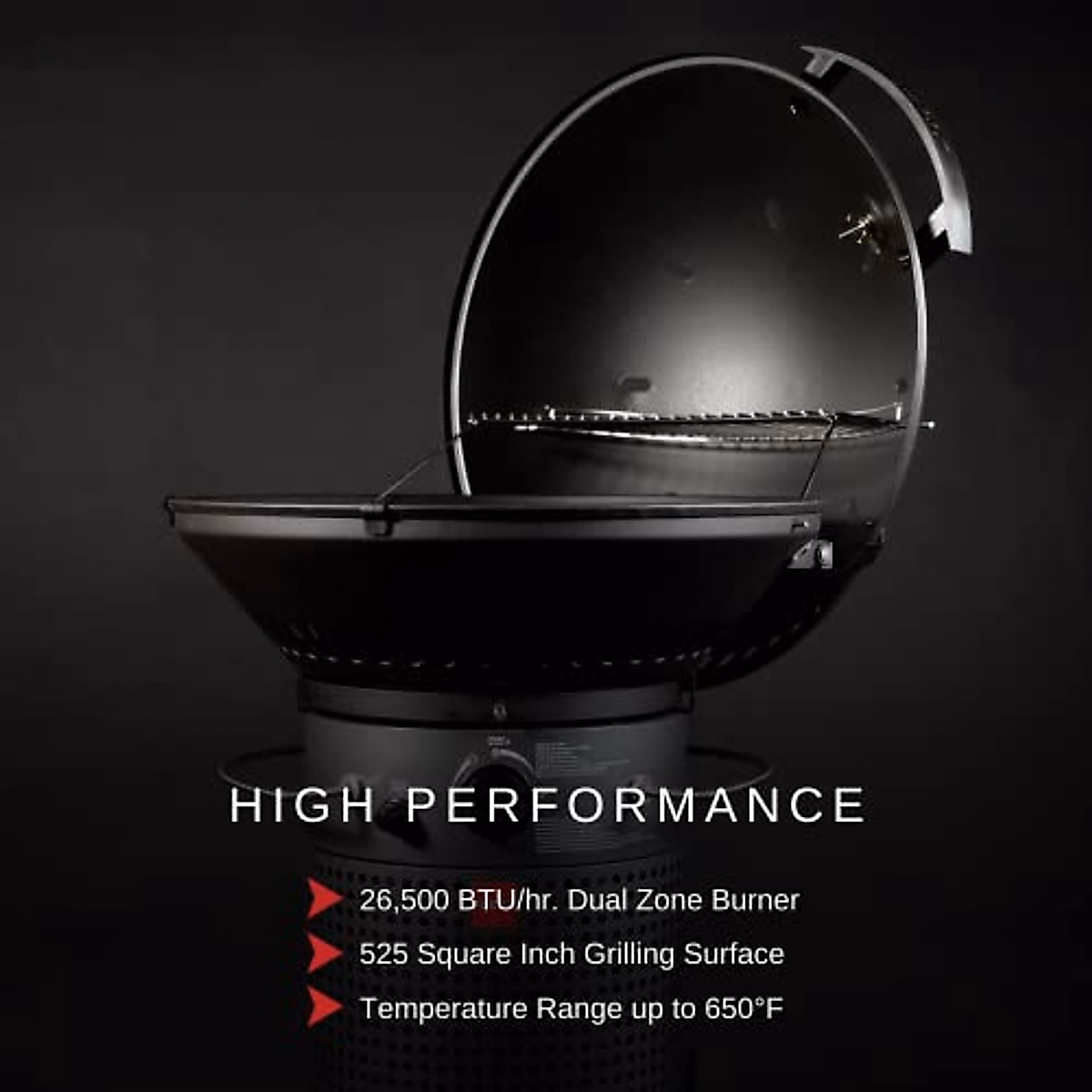 Fuego F24C Professional Propane Gas Grill