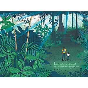 Over and Under the Rainforest