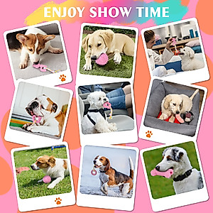 YUKOOY Puppy Toys,Dog Chew Toy for Teething Small Dogs, Puppy Chew Squeaky Toys, Soft & Durable Dog Chew Toys Cleaning Teeth and Protects Oral Health