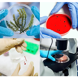 Labnique Polystyrene Petri Dish with Vented Lid, 90mm, Sterile (20)