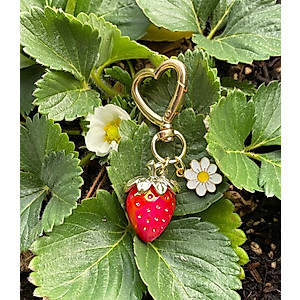 Agromusk Cute Strawberry Keychain,Bag Charms,Kawaii Heart Flower Daisy Key chains Accessories Decor for Girls Purse Gift (Red)