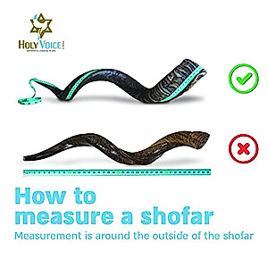 Kosher Kudu Shofar Horn from Israel – Traditional Half-Polished Yemeni Shofar Includes Carrying Bag, Brush and Blowing Guide - Holy Voice Easy Blowing Ancient Musical Instrument (24"-28")