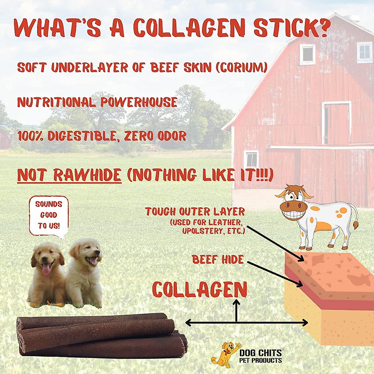 Dog Chits Beef Collagen Sticks for Dogs and Puppies | 12 Inch | Naturally Loaded w/Collagen | Amazing for Joints and Skin | Odor Free | All Natural | Long Lasting Chew | Grass Fed Beef | 6 Pack