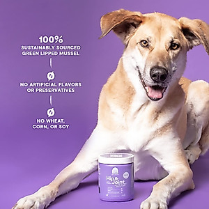 Open Farm Hip & Joint Chews, Dog Supplement, Dog Vitamins, Supports Joint Health and Mobility Using Traceable and Vet-Approved Ingredients, 12.7 oz, 90 Count