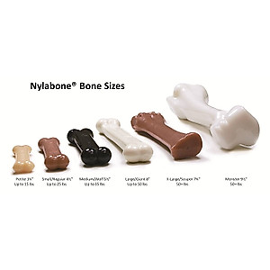 (5 Pack) Nylabone Dura Chew Regular Chicken Flavored Bone Dog Chew Toy