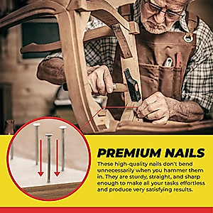 Qualihome Hardware Nail Assortment Kit, Includes Finish, Wire, Common, Brad and Picture Hanging Nails