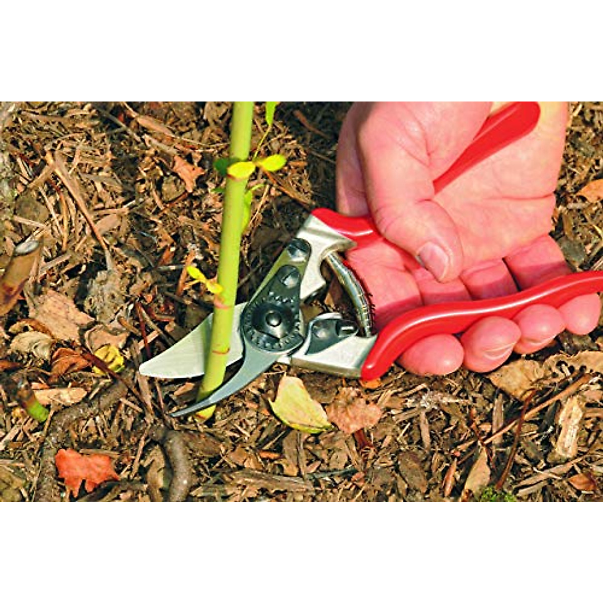 Felco Pruning Shears (F 6) - High Performance Swiss Made One-Hand Garden Pruners - 100052385