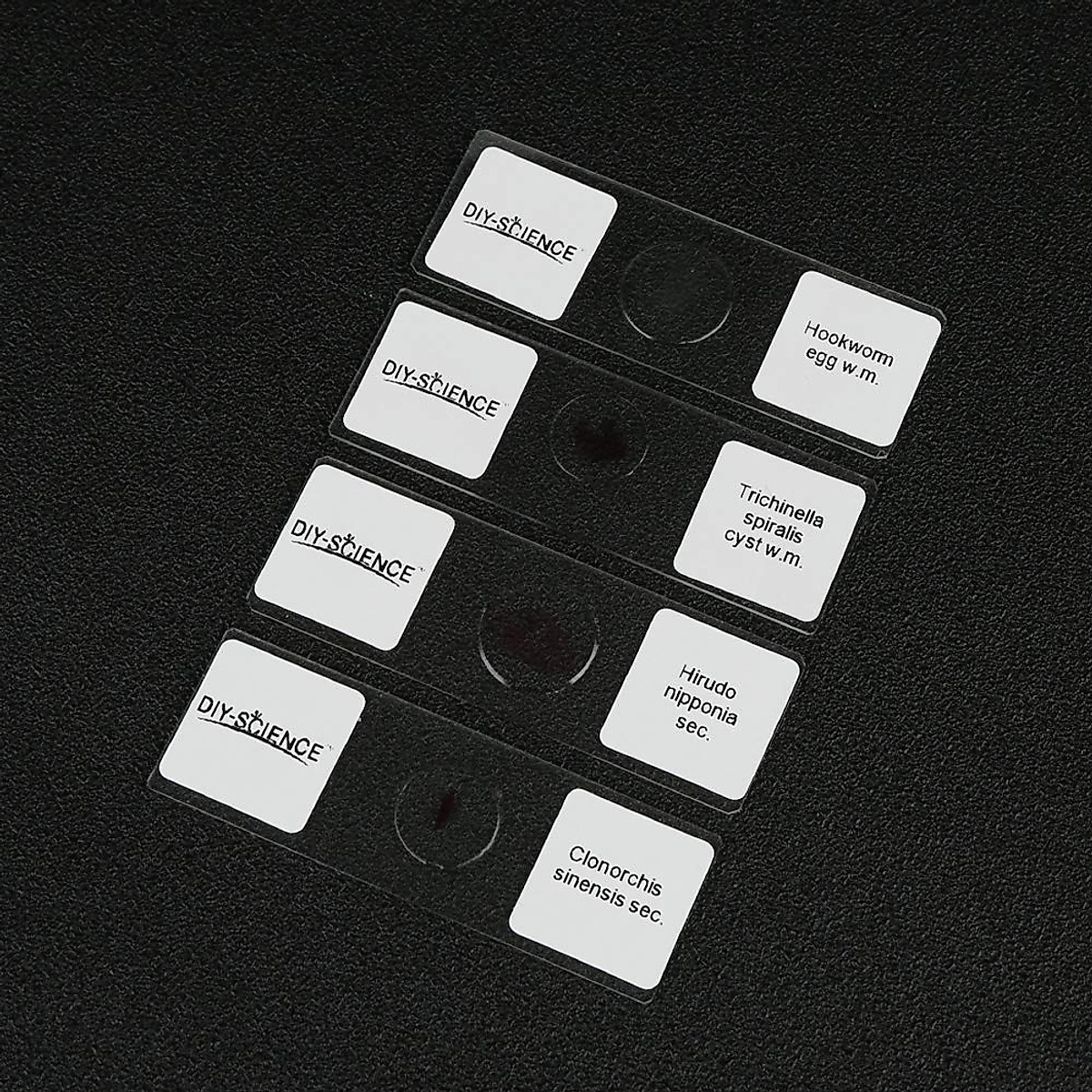 Prepared Parasitology Microscope Slide Set, Excellent 30pcs Slides Resource for Instruction at The College Level (Parasitology)