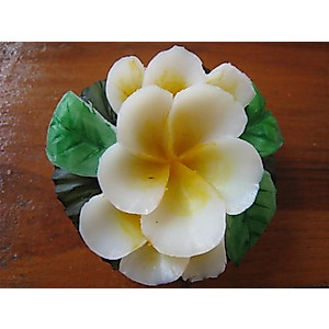 Thai Fruit Vegetables Fruits Carving Knife Thai Food Art Engraving Tool 5 Inches Curve Beak Knife.