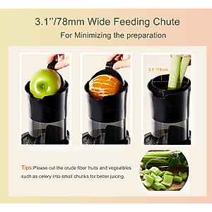 Qvin Compact Slow Masticating Juicer machines 3inch Large Feed Chute, Easy to Clean, BPA Free, 200W Nutritional electrical Cold Press Juicer machine vegetable and fruit,Deluxe Silver-gray