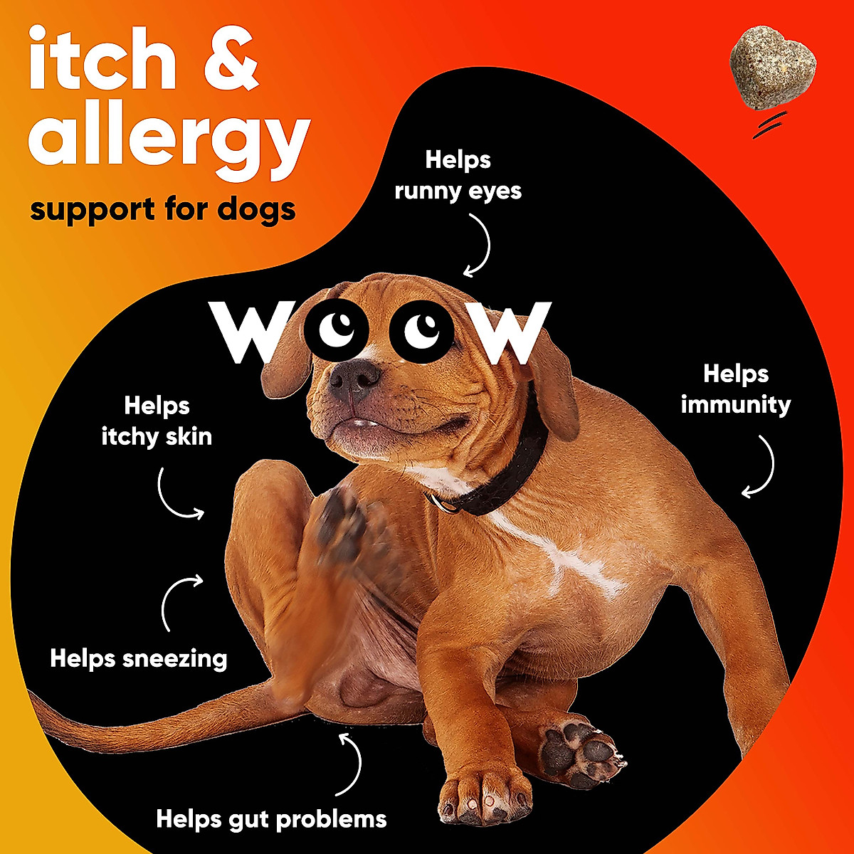 Dr Woow Probiotics for Dogs + Allergy Support Soft Chew Supplement Bundle - Prebiotics, Digestive Enzymes, Salmon Oil & Omega 3 Fish Oil, Itch Relief for Dogs, hot Spots and Postbiotic for Dogs