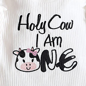 PadaGooder Baby Girl First Birthday Outfit Girl Cow Birthday Outfit Baby Holy Cow I'm One Bodysuit (White,12-18 Months)