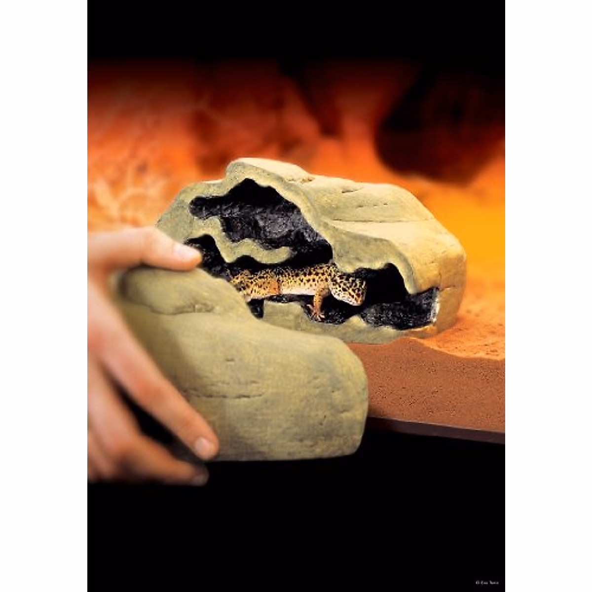 Exo Terra Reptile Den, Hideout Tunnel System for Terrariums, Large, PT2863