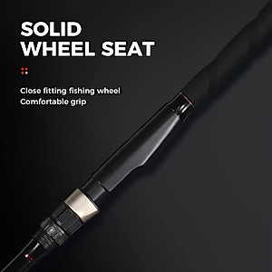 BERRYPRO Surf Spinning Rod Carbon Fiber Surf Rod Travel Fishing Rod (9'/10'/11'/12') (10'-Spinning-2pc)