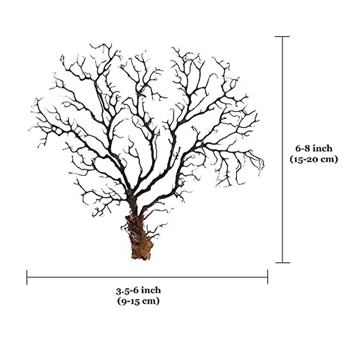 SunGrow Betta Fish, African Frog & Hermit Crab Aquarium Sea Fan, Tank Decoration, Sea Willow Aquarium Décor