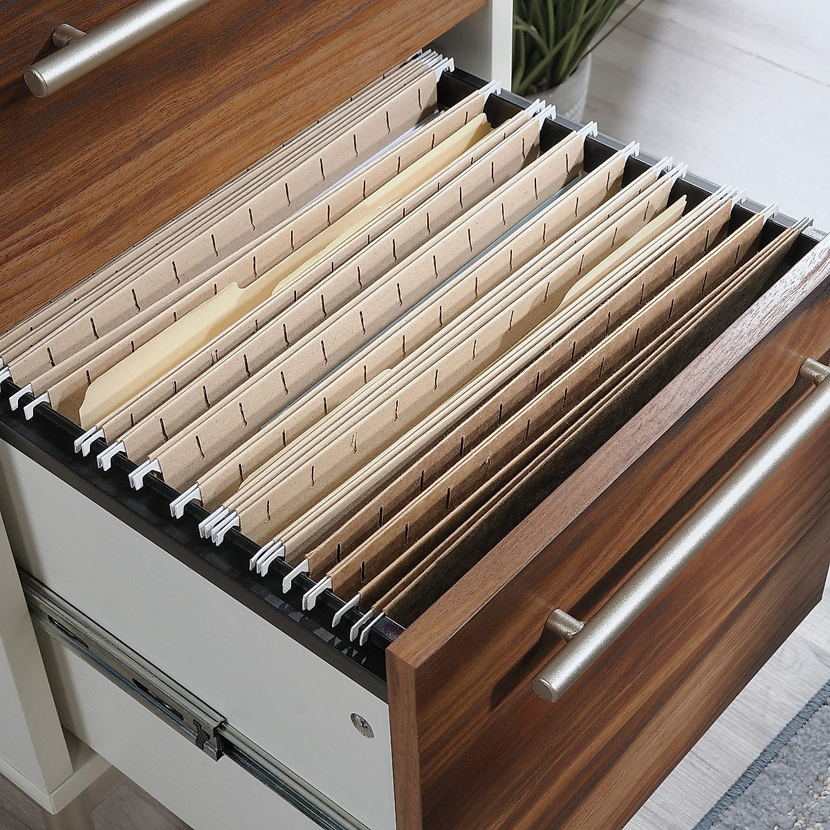 Sauder Vista Key 19"D Vertical 2-Drawer File Cabinet, Pearl Oak/Blaze Acacia