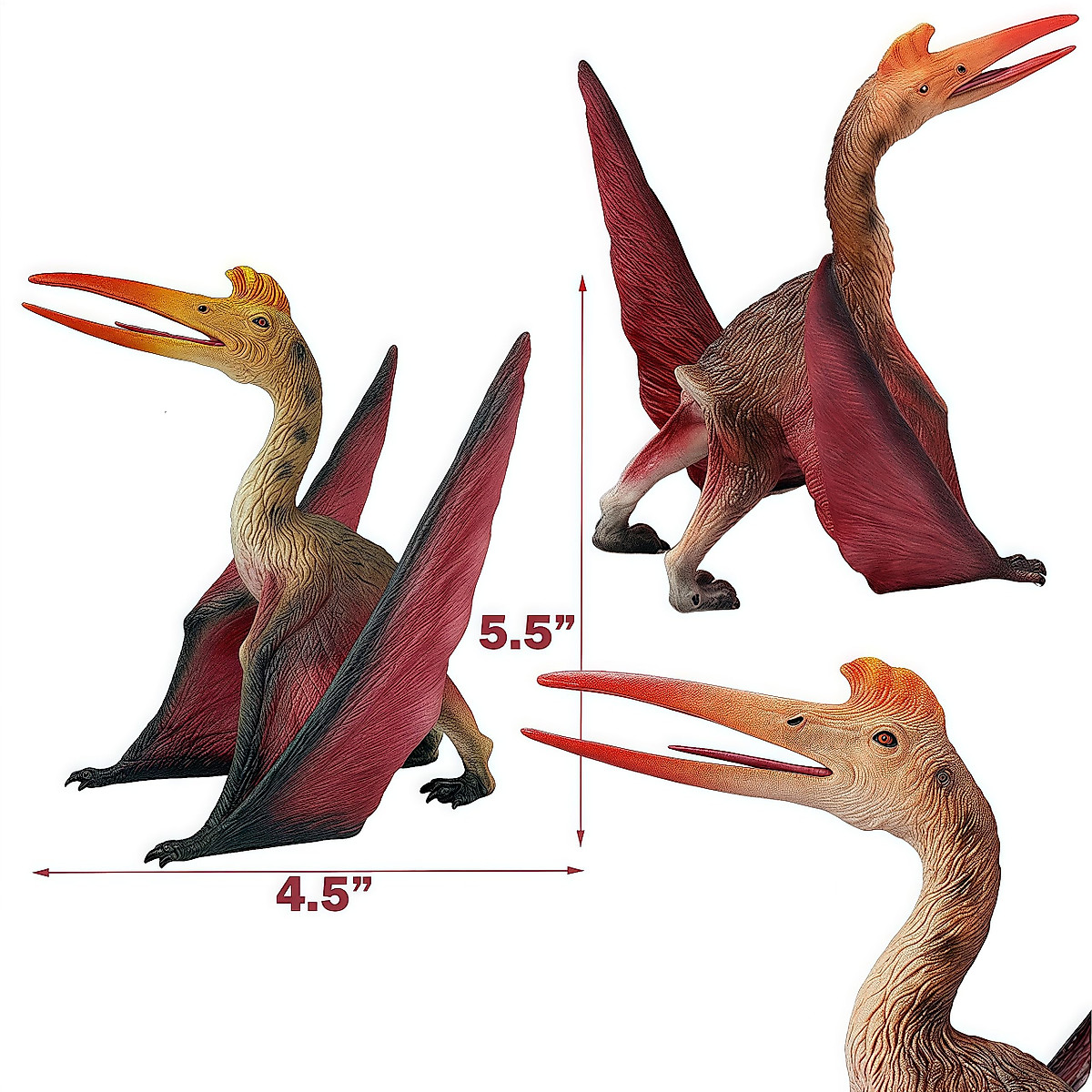 Gemini&Genius Pterosaur Toy for Kids, Large Size 5.5" Quetzalcoatlus Dinosaur Toy, Pterodactyl Toy, Large Flying Dinosaur Toy, Realistic Pteranodon Toy for Kids Display and Play