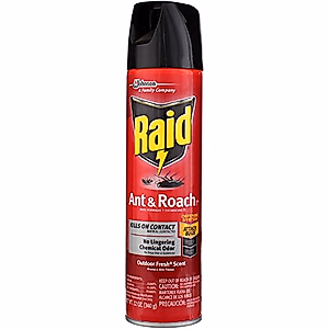 Raid Ant and Roach Kills on Contact No Lingering Chemical Odor Outdoor Fresh Scent 12 Oz. (1 Each)
