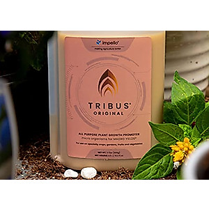 TRIBUS® - Seedling to Harvest Microbial inoculant - Treats up to 200 gallons of Water