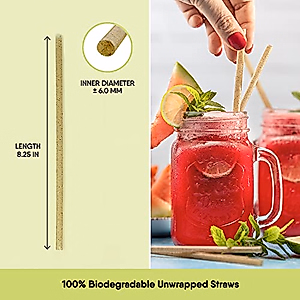 The Veggie Straws – 100 PCS of 8.25 Inches Unwrapped Biodegradable Straws – Made of Vegetable Fibers, Best Environment Friendly Drinking Straws for Hot and Cold Beverages