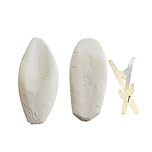 emours Natural Cuttlefish Bone for Reptiles, Tortoises, Tortoise, Snails, Birds and Small Animals, 4-5 inch, Twin Pack