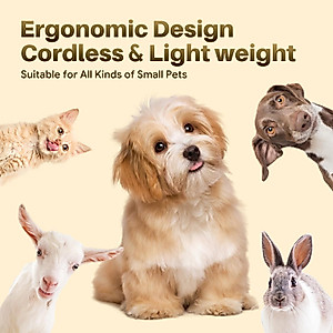 AIBORS Small Dog Grooming Kit, 4 in 1 Electric Dog Trimmer for Grooming, Low Noise Dog Nail Trimmer, Cordless Pet Clippers for Dogs Cats, Grooming Paws, Eyes, Ears, Face, Hip Hairl (Purple)