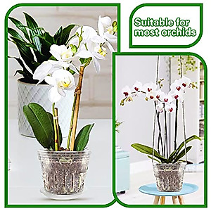 Zddaoole Orchid Pot,9 Each of 4.8,5.7 and 6.4 Inch Orchid Pots with Holes,Clear Plastic Flower Plant Pots for Repotting Indoor Outdoor,Breathable Slotted Orchids Planter