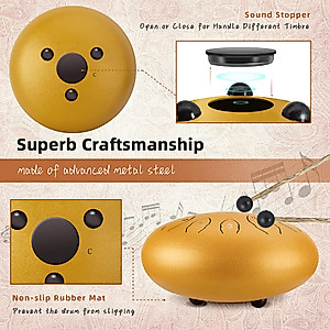 Steel Tongue Drum Instrument, Hantop 12 Inches 13 Notes Percussion Instrument Kit Tank Drum C Key with Accessory Box, Bag, Music Book and Mallets for Meditation Musical Education Mind Healing Yoga