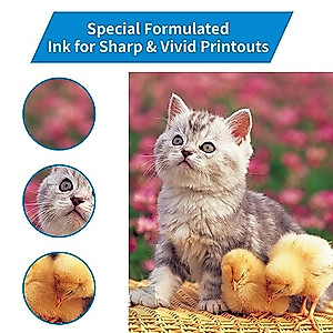 Refill Ink Compatible with 502 Ink Refill Bottles use for epson ET-2850 ET-4750 ET-2760 ET-3710 ET-3760 ET-2750 ET-4760 ET-3750 ET-3830 ET-3850 ET-5150 ET-5170 ET-5180 ET-5800 ET-5880 Printer