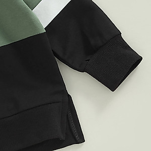 Noubeau Toddler Baby Girl Boy Clothes Long Sleeve Hoodie Zip Sweatshirts Pullover Tops+Casual Pants Set Fall Winter Outfit (Green, 6-12 Months)