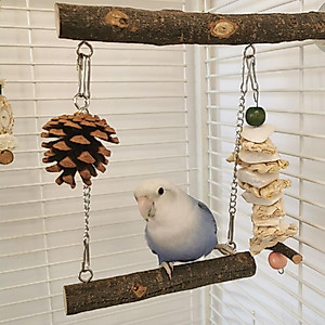 Bird Swing, Natural Wooden Parrot Cage Toys Bird Perch Stand for Parakeets Cockatoos Conures Lovebirds Bird Cage Accessories