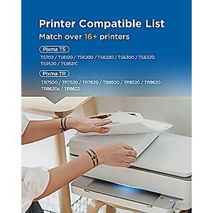 Timink 280 281 PGI-280XXL CLI-281XXL Compatible Ink Cartridges Compo Pack Replacement for Canon PIXMA TR7520 TR8520 TS6120 TS6220 TS8120 TS8220 TS9120 TS9520 TS6320 TS9521C (5 Pack)