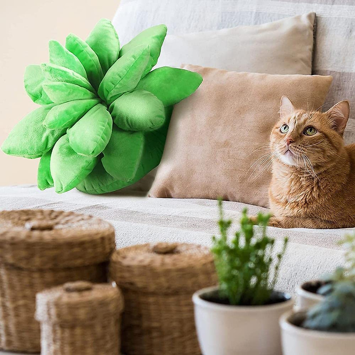 Evaner 3D Succulents Cactus Pillow, Cute Succulents, for Garden or Green Lovers Baby Green Plant Throw Pillows for Bedroom Room Home Decoration Novelty Plush Cushion,Blue