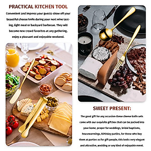 Cheese Butter Spreader Knives Set Charcuterie Accessories Stainless Steel Spreader Knives Charcuterie Boards Utensils Mini Serving Tongs Spoons and Forks for Pastry Making (Golden)