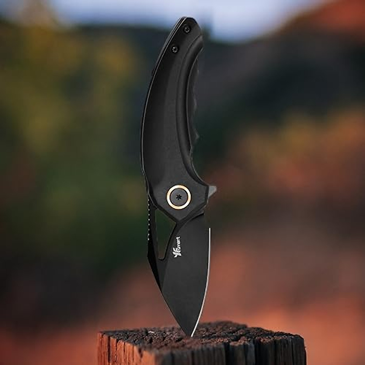 YF SMART Folding Utility Pocket Knife with 2.6" Black Stainless Steel Blade and Durable Anodized Alumina Handle EDC Knife,SpeedSafe Assisted Opening - Everyday Carry