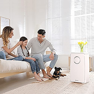 Pro Breeze Air Purifier for Home - 5-in-1 HEPA Air Purifier with HEPA Filter - 500 Sq Ft Coverage for Home Office, Living Room, Bedroom