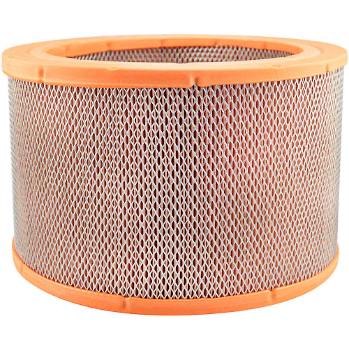 Baldwin PA5665 Heavy Duty Air Filter (9-23/32 x 6 in.)