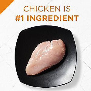 Purina Pro Plan With Probiotics Large Breed Dry Dog Food, Shredded Blend Chicken & Rice Formula - 18 lb. Bag