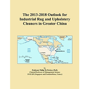 The 2013-2018 Outlook for Industrial Rug and Upholstery Cleaners in Greater China