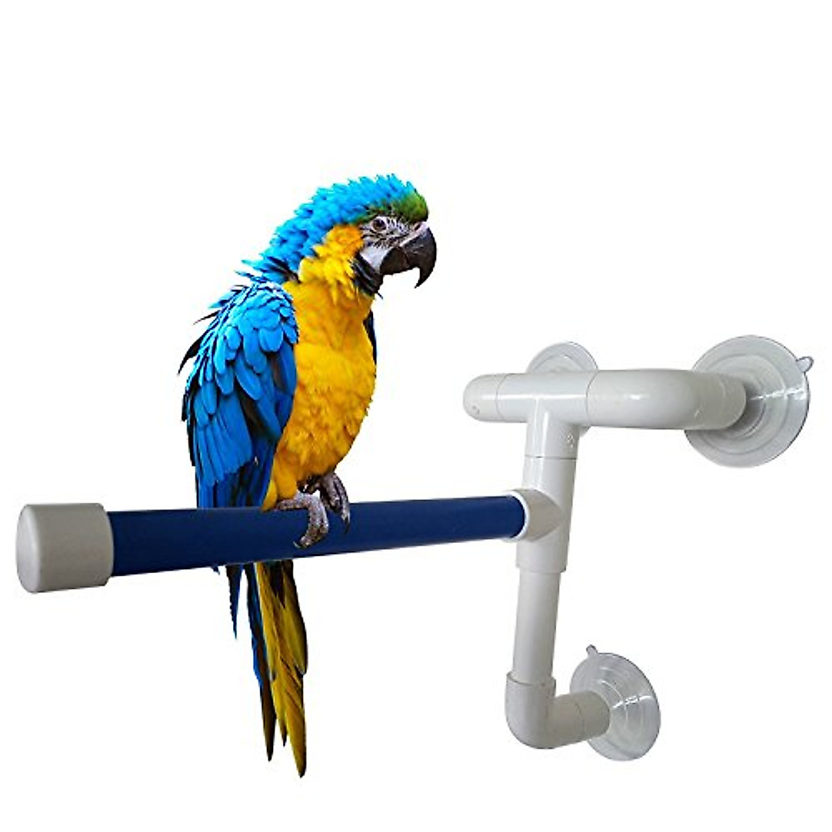Bird Parrot Stand Perch Shower Perch Standing Toy Portable Suction Cup Parrot Bath Stands Suppllies Holder Platform Parakeet Window Wall Hanging Play (3 Suction Cups2)