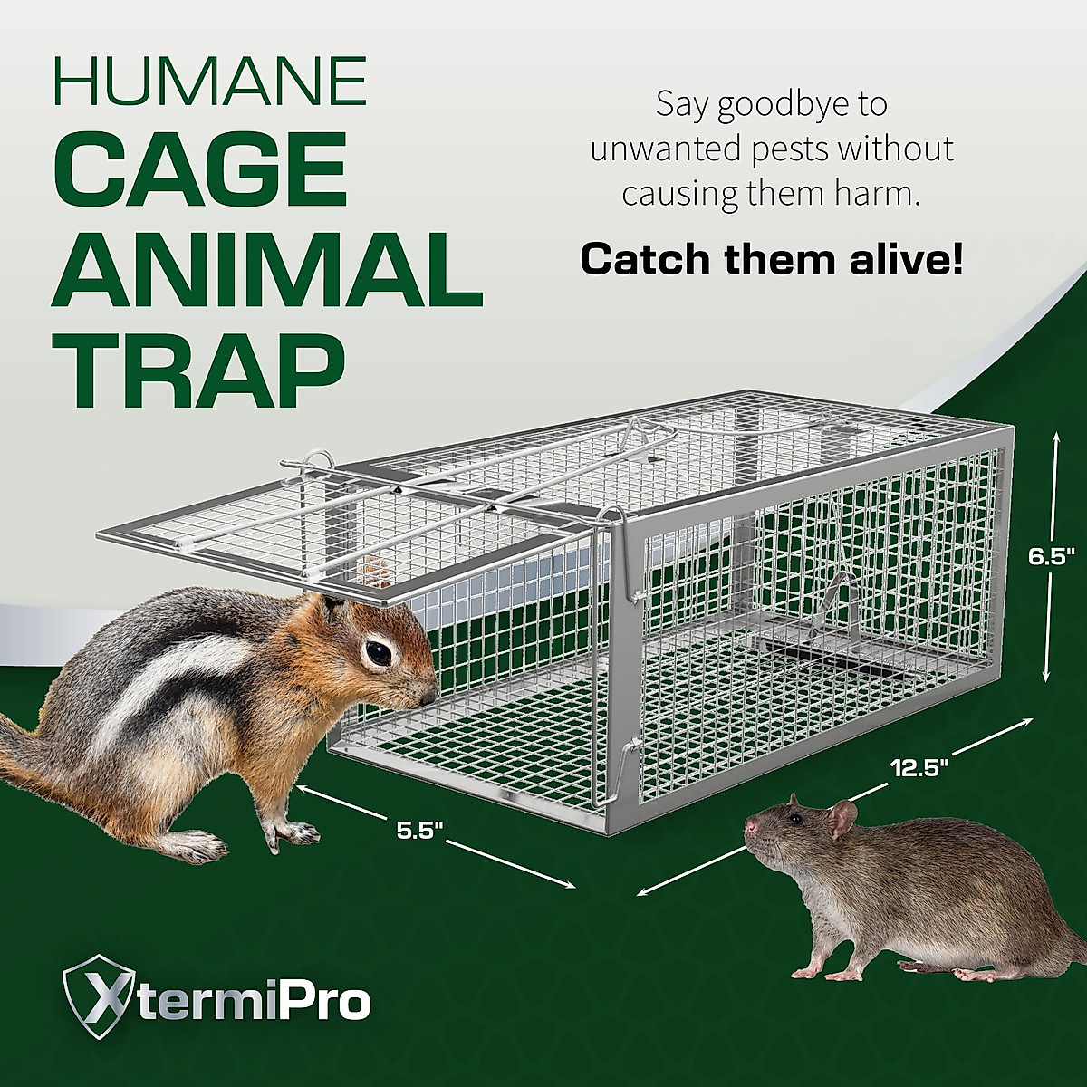 Humane Squirell Trap, Chipmunk and Rat Trap Cages That Works, Humane Mouse Trap for Home | Catch and Release | Reusable and Durable | No Kill Animal Trap | for Inside Home and Outdoor Use