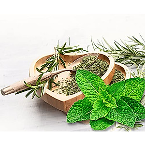 Rosemary and Mint, Lone Star Candles & More's Premium Hand Poured Strongly Scented Wax Melts, The Scent of Aromatic Rosemary and Minty Eucalyptus with Sage, 12 Wax Cubes, USA Made in Texas, 2-Pack