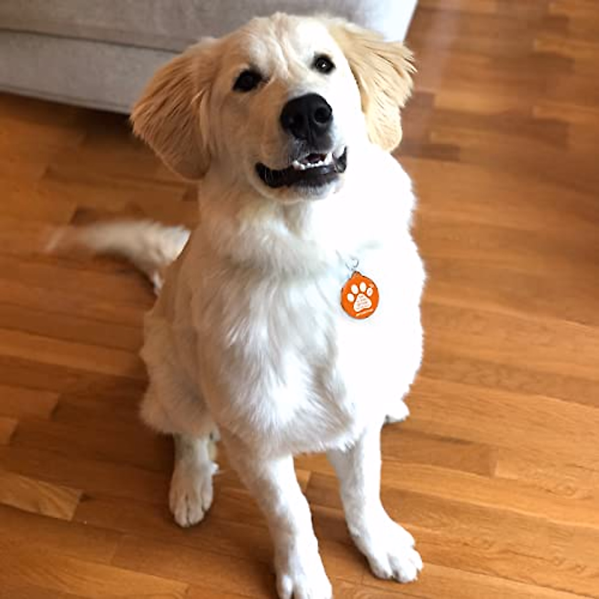 MYLUCKYTAG NFC & QR Code Smart Pet ID Tag Personalized Dog Cat Tag, Online Pet Profile, Pet Location Alert Email, Digital Pet Tag, Quiet Pet Tag, Durable Pet ID, Dog Collar Tag