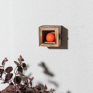 Freezing point Golf Ball Display Case Hole in One Golf Ball Small Wood Shadow Box Wall Rack Holder Golf Gifts for Kids Womens Mens