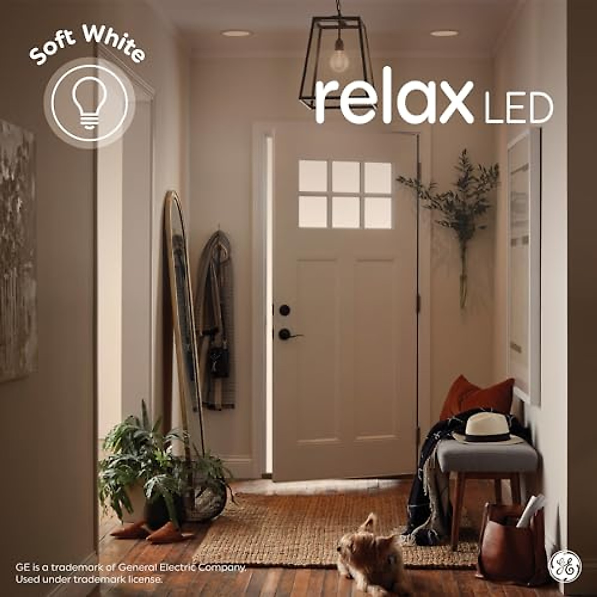GE Relax LED Light Bulbs, Candle Lights, 60 Watts, Soft White Frosted Decorative CA11 Bulbs, Small Base (2 Pack)
