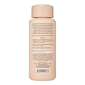 Kristin Ess Hair Deep Clean Clarifying Shampoo for Build Up, Dirt and Oil on Hair and Scalp, Cleanse + Detox Oily Hair, Vegan, 10 fl oz (Pack of 2)