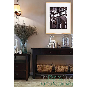 TheDisplayGuys - Contemporary Aluminum Picture Frame - Tempered Glass - 16x20 matted to 11x14 - Gold - Wall Hanging