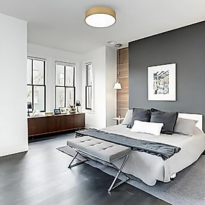 erpymi Modern Gold Flush Mount Ceiling Light, 2-Lights Round Ceiling Light, Minimalistic Ceiling Lamp Acrylic Shade Lighting Fixture for Bedroom Laundry Room Bathroom Hallway(11.8 Inch)