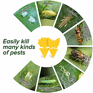 ALLRoad Fungus Gnat Sticky Traps for Plant 54 Pcs Fruit Fly Trap Yellow Sticky Gnat Killer for Indoor Outdoor Catch Bug, Whitefly, Mosquitos, Flying Insects