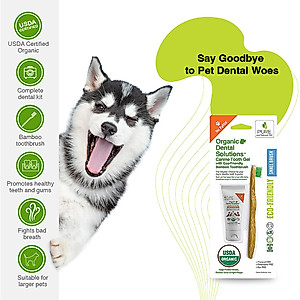 Pure and Natural Pet Organic Dental Solutions USDA Certified Organic Large Kit (.8 oz Canine Tooth Gel with Eco-Friendly Bamboo Toothbrush).
